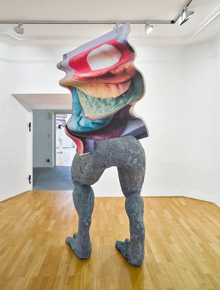 Anne Speier at Kunstraum Schwaz | Contemporary Art Library
