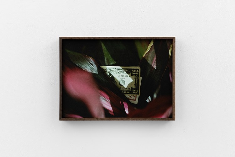 Megan Plunkett | Contemporary Art Library