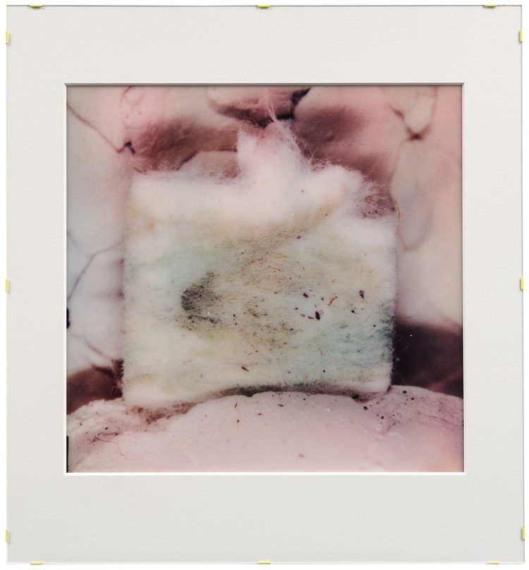 Yair Oelbaum | Contemporary Art Library