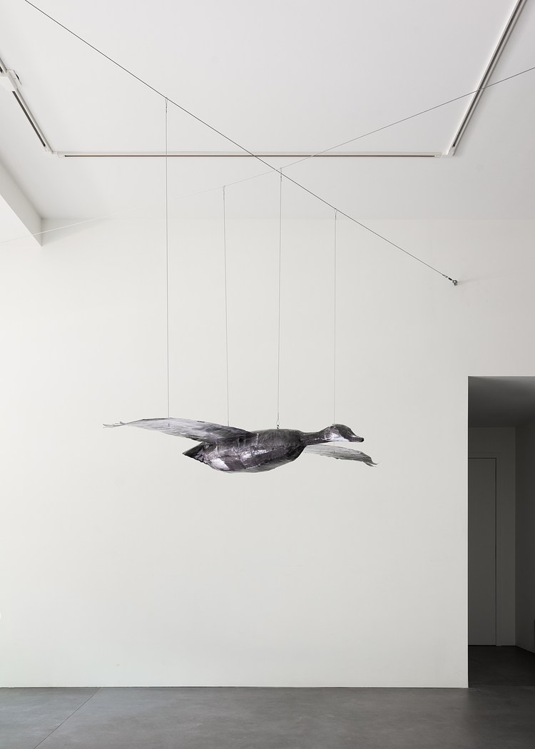 Lauren Burns-Coady | Contemporary Art Library