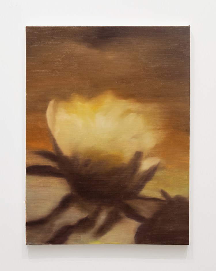 Ross Bleckner at Petzel, New York | Contemporary Art Library