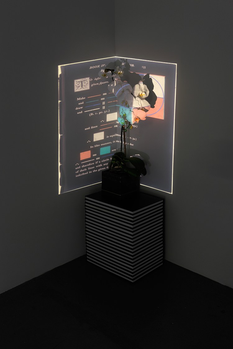 Scott Lyall at Miguel Abreu, New York | Contemporary Art Library